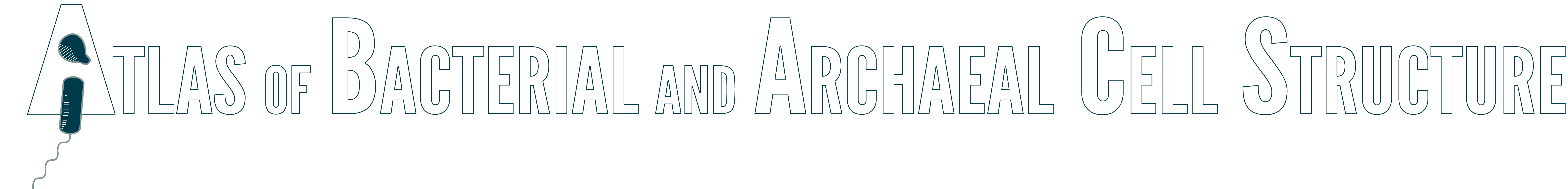 1.8 Single Particle Reconstruction | Atlas of Bacterial and Archaeal ...